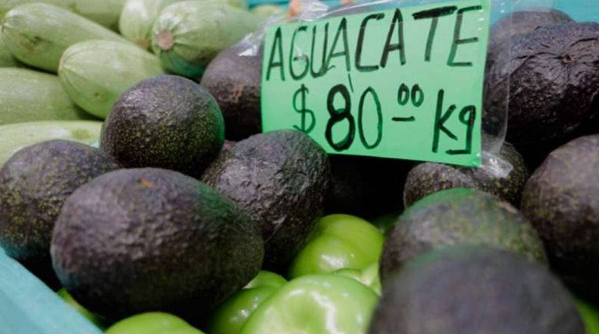 ¿Bajará el precio del aguacate en México? Esta es la razón